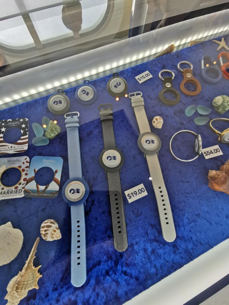 Unser Besuch auf der Island Princess - CruiseCouple